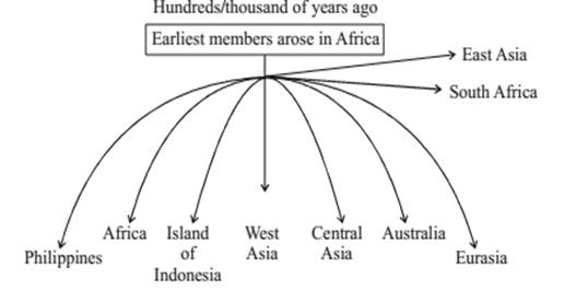 Heredity And Evolution Class 10 Notes Science Mycbseguide Cbse